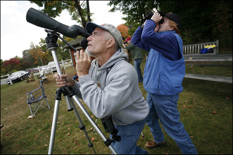 Frank Guida - JungleKey.com Wiki