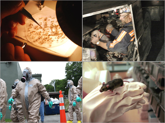 The 10 scariest and creepiest jobs - Boston.com