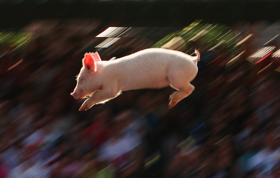 Big Shots for April 14, 2009 - Big Shots - Boston.com