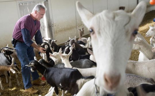 Federal panel will weigh in on GTC's blood-clotting drug - The Boston Globe