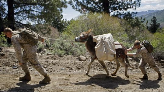 The Kursk offensive may prove to have been Ukraine’s most costly mistake